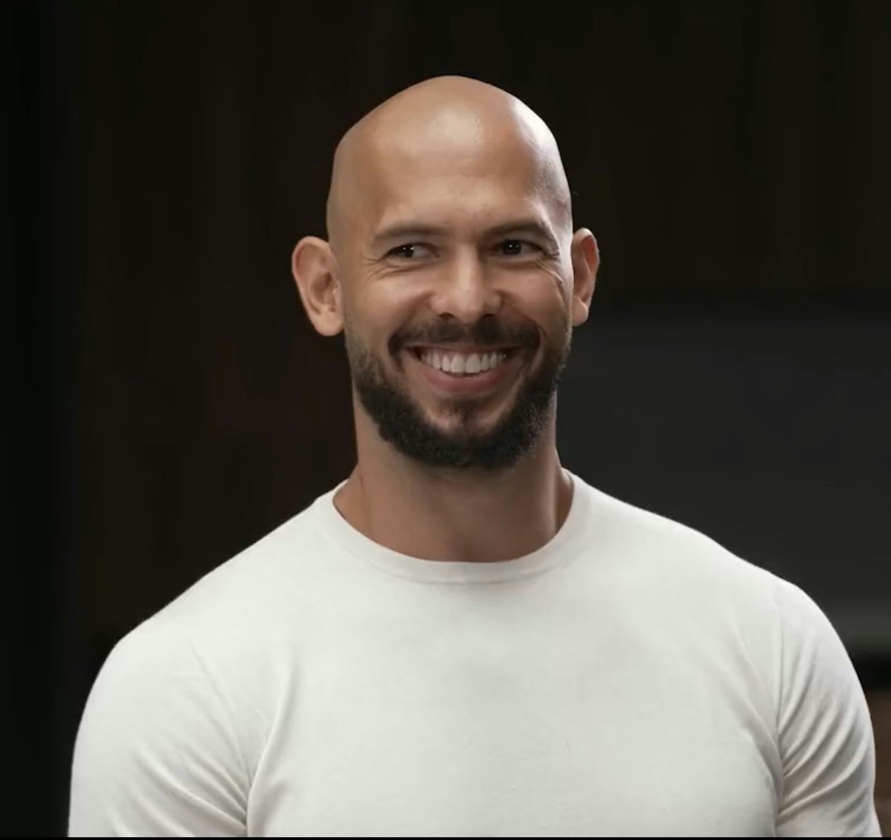 Cobratate.con - COBRATATE